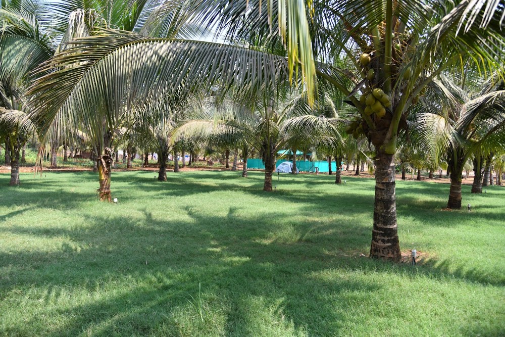 Sharvraj Eco Farm Goa - Tripopola