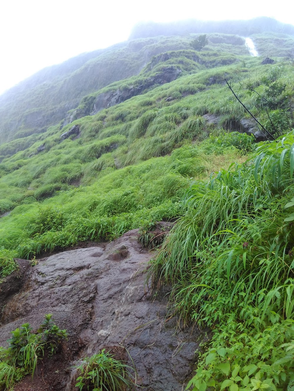 Malawali Waterfall - Tripopola
