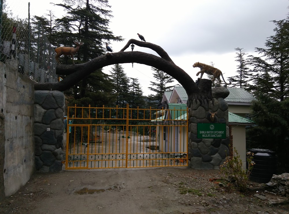 Shimla Water Catchment Wildlife - Tripopola